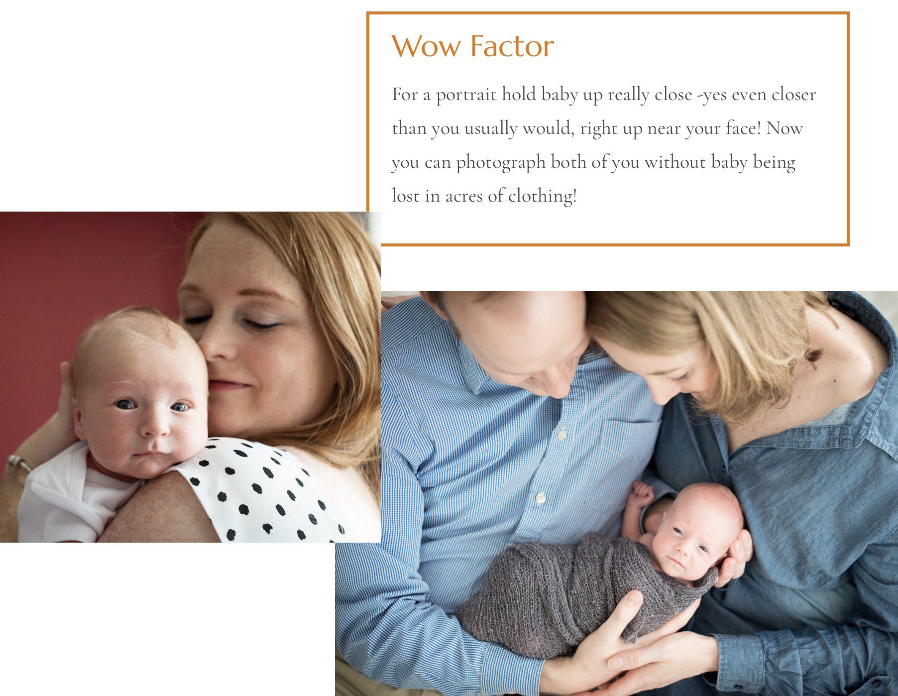 Download all the info on fabulous family shoots instantly! - Family ...